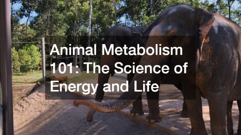 Animal Metabolism 101 The Science of Energy and Life - My Veterinarian ...
